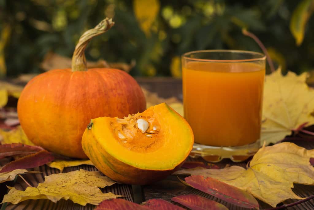 Easy Fall Juice Recipes for a Healthy Boost - juicer360